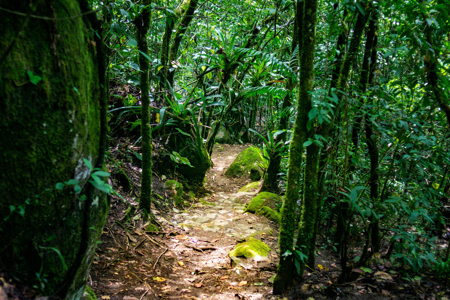 Experiences - Rio Chirripo